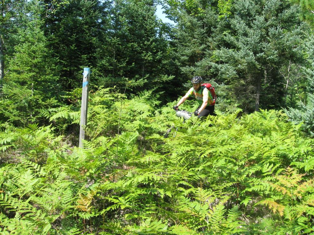 Mountain Biking the High Country Pathway of Michigan – Day 1 | Car Less ...